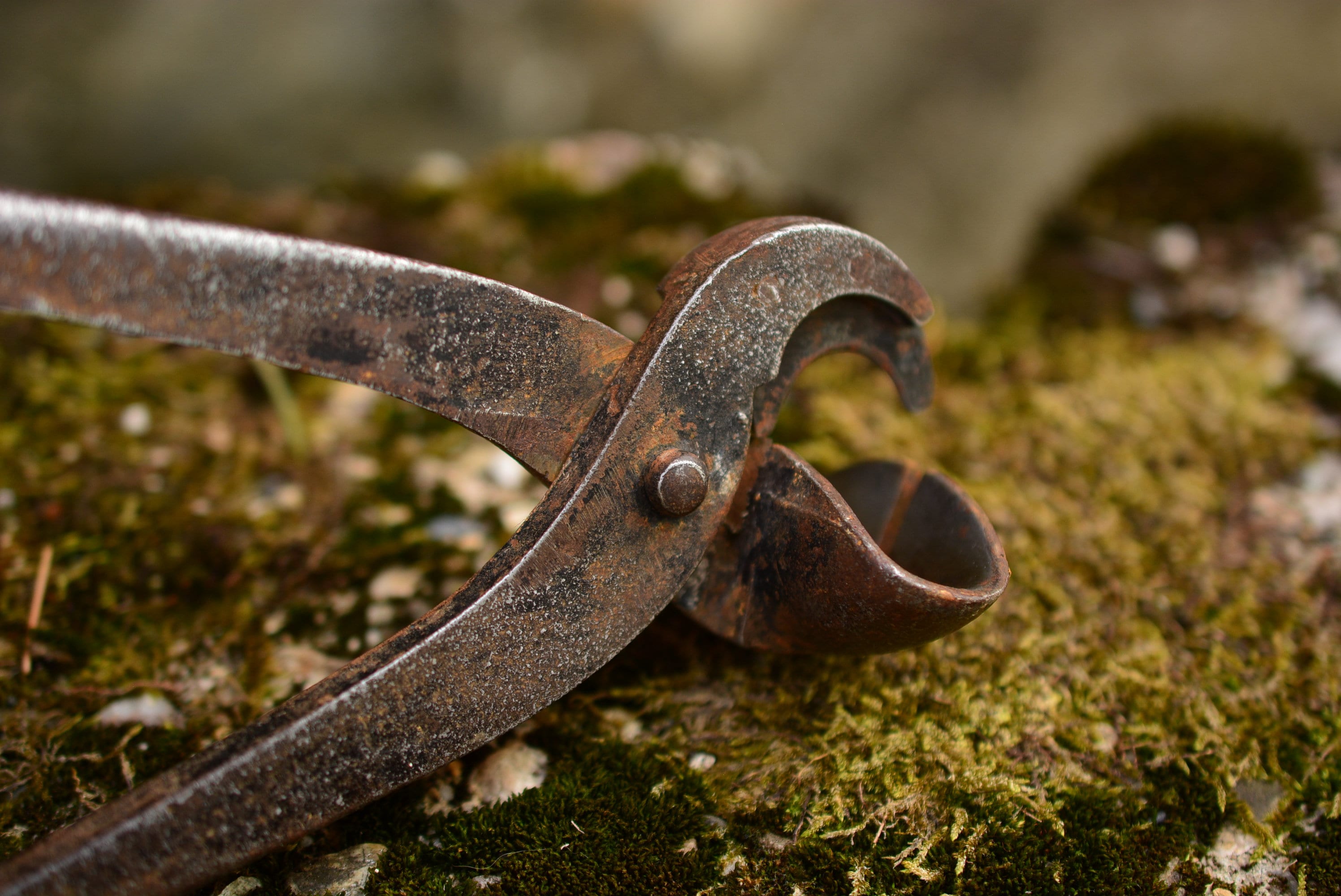 Vintage Iron Pliers,antique Pliers,vintage Home Decor,farmhouse Decor ...