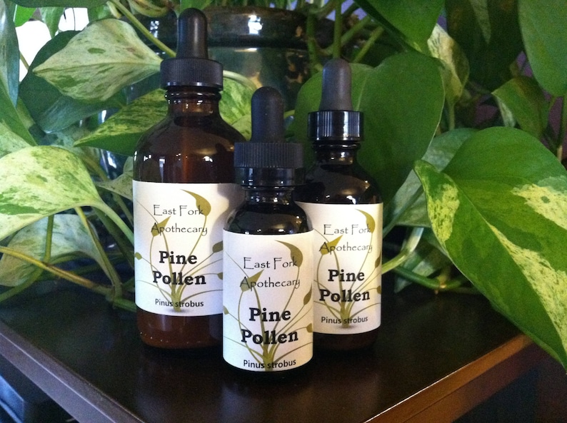 Pine Pollen Tincture 2 Oz. Wildcrafted - Etsy