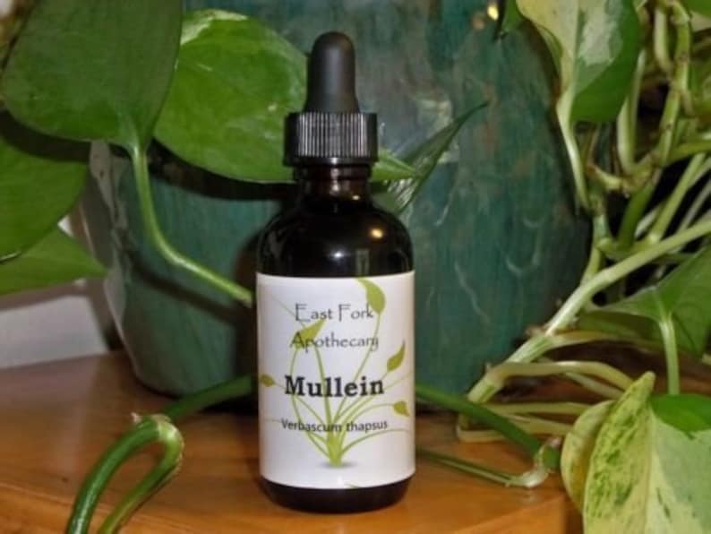 Mullein Tincture 1 Oz. Wildcrafted - Etsy