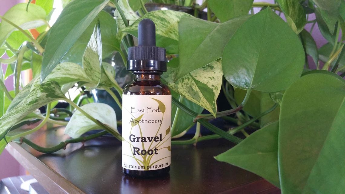 Gravel Root Tincture 1 Oz. Wildcrafted - Etsy