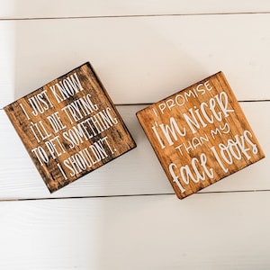 Funny Signs, Humorous Signs, Tiered Tray Signs, Desk Decor, Shelf ...