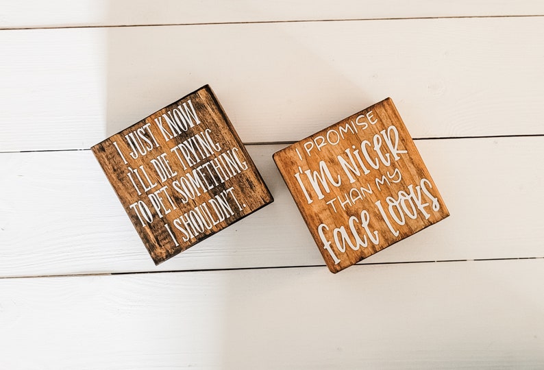Funny Signs, Humorous Signs, Tiered Tray Signs, Desk Decor, Shelf ...