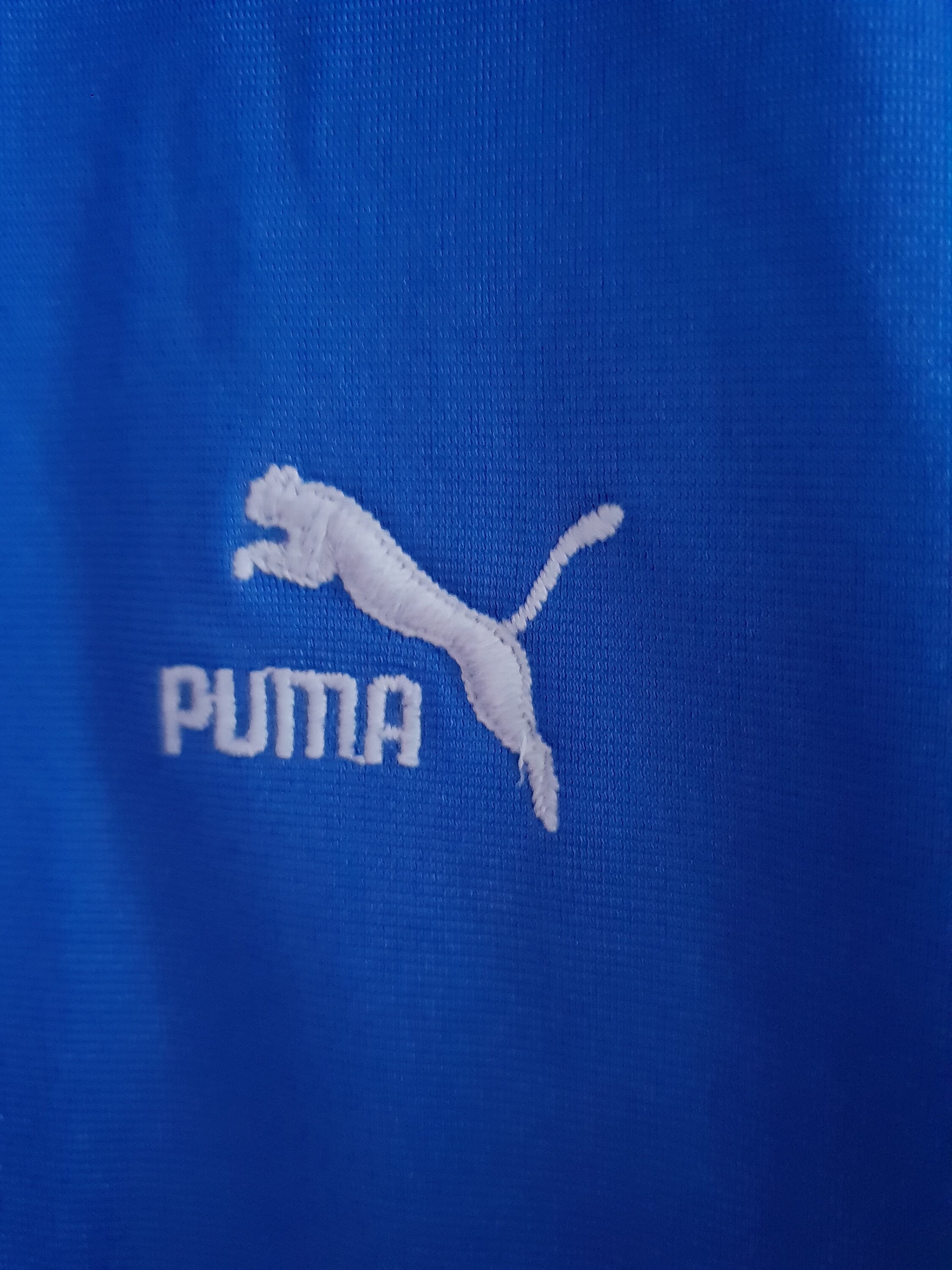 Blue Puma Logo