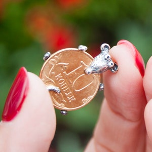 Money Amulet Mouse Rat on Coin. 925 Sterling Silver Charm. Talisman for ...