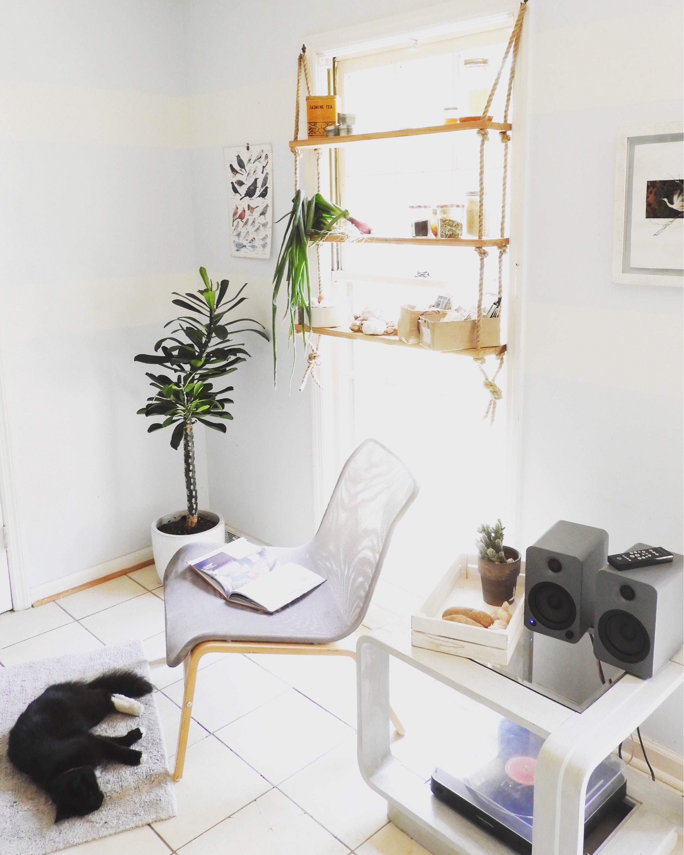 CUSTOM / Cedar / Rope / Hardware / Minimalist / Hanging Shelf | Etsy