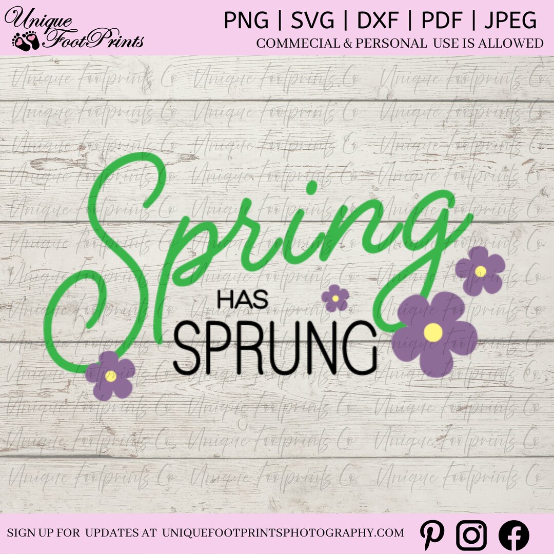 Spring Has Sprung Svg | Hello Spring Svg | Silhouette Cameo | Spring Cut File | Welcome Spring ...