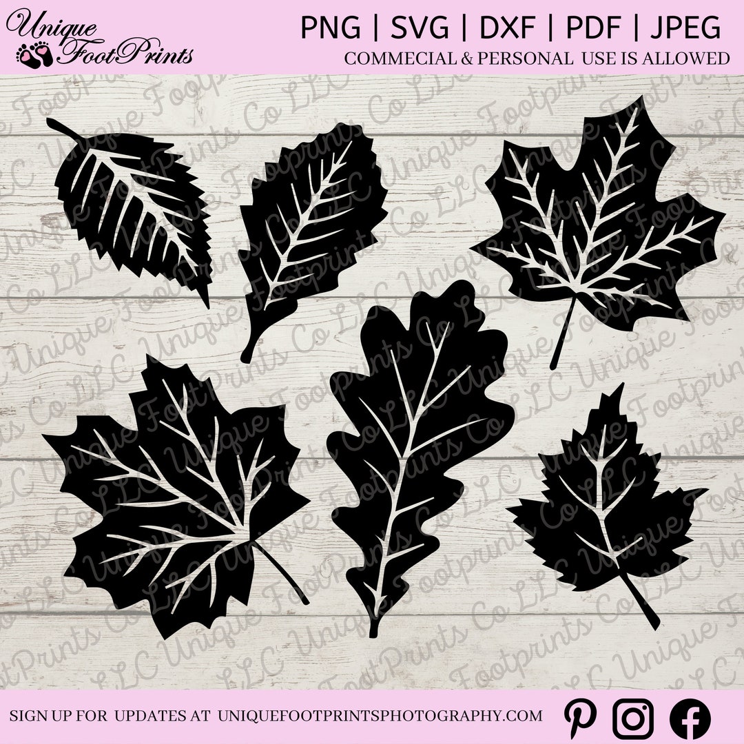 Pumpkin and Fall Leaves SVG Bundle, Fall Cliparts SVG Bundle, Maple ...
