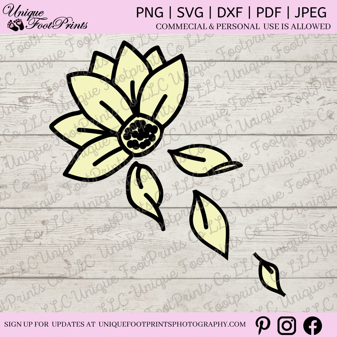 Sunflower Petals SVG, Flower Petal Blow Away SVG, Multi Layer SVG, Car ...