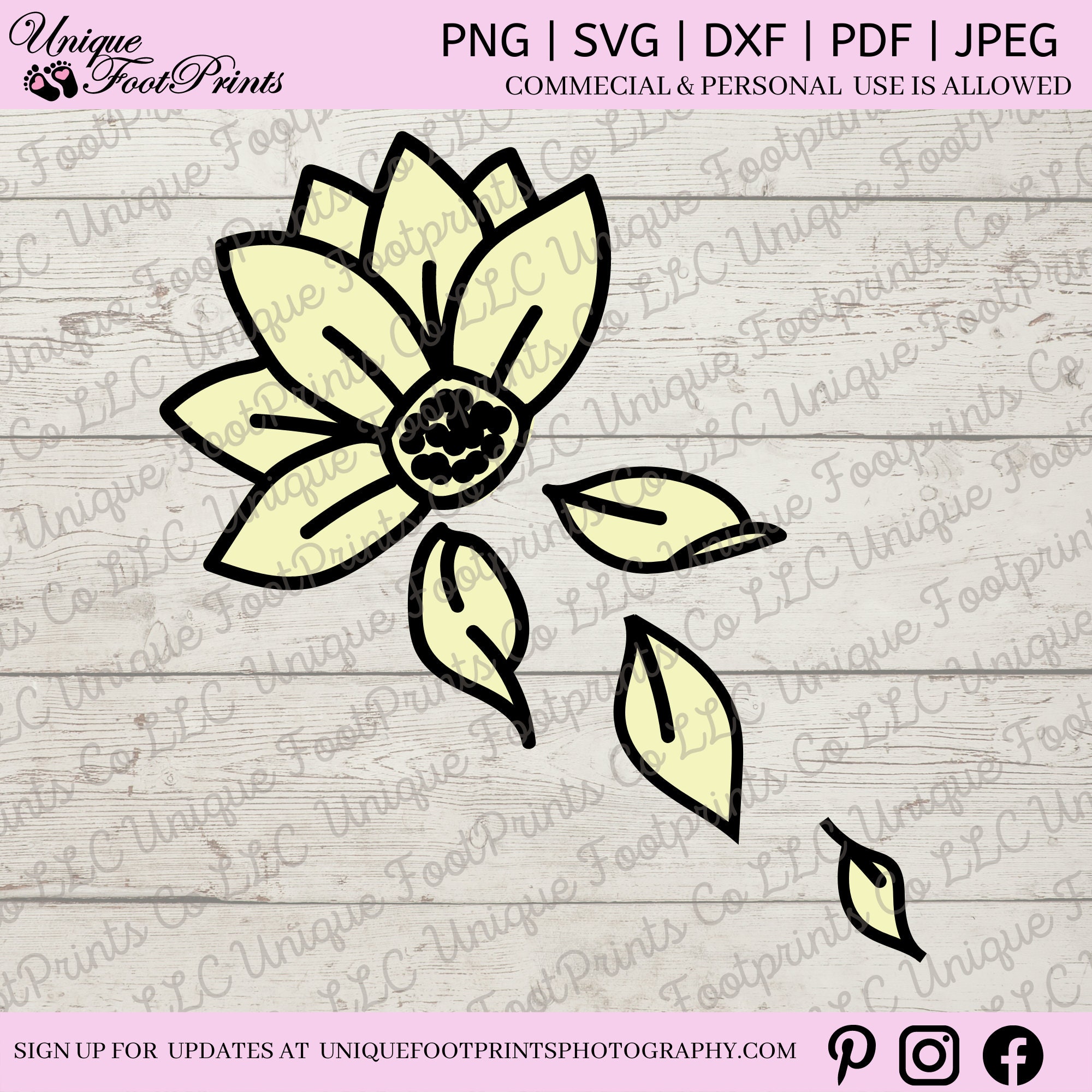 Sunflower Petals SVG, Flower Petal Blow Away SVG, Multi Layer SVG, Car ...