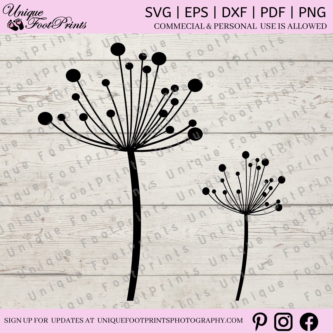 Dandelion SVG- Dandelion Flower SVG- Flower SVG- Cut File- Handrawn ...
