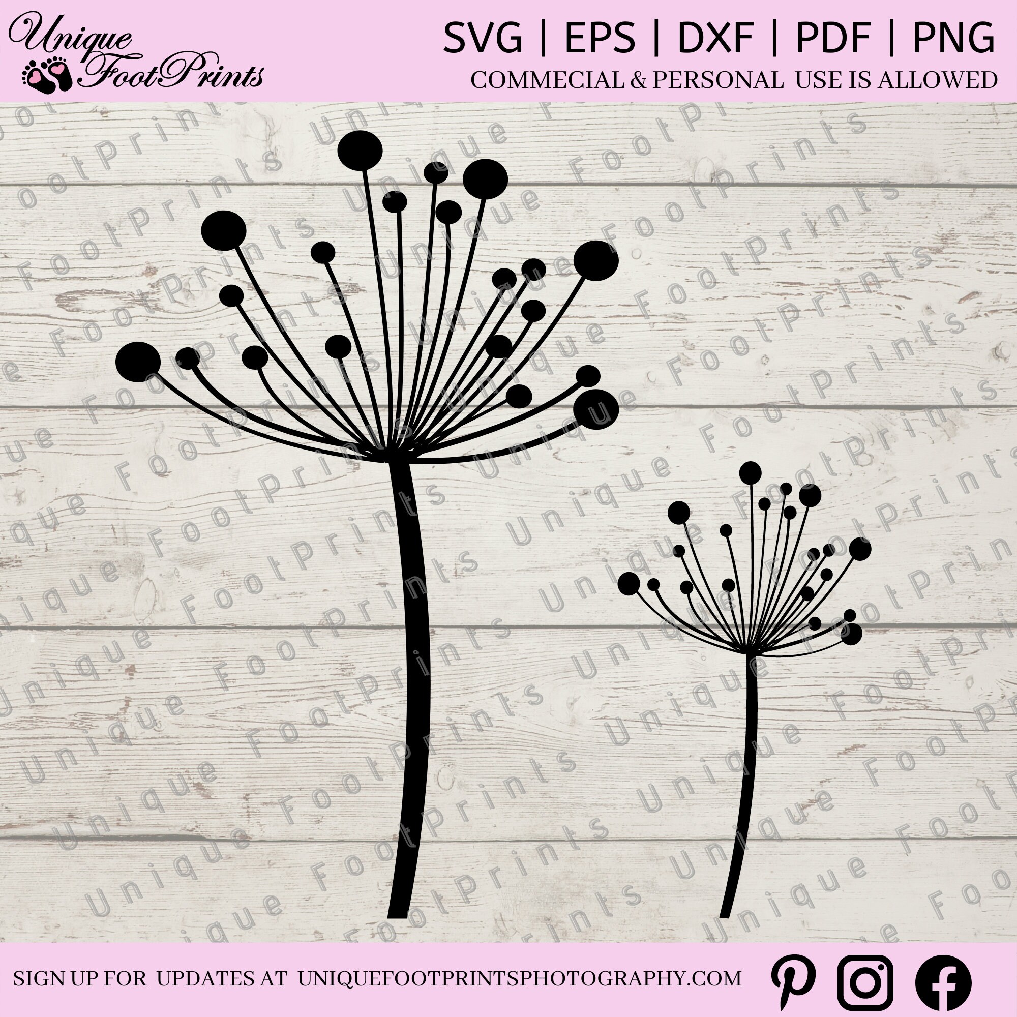 Dandelion SVG- Dandelion Flower SVG- Flower SVG- Cut File- Handrawn ...