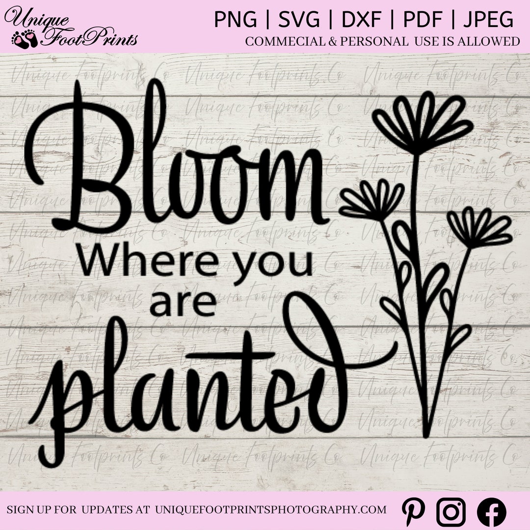 Bloom Where You Are Planted SVG, Wildflower Quote SVG, Flowers Quotes ...