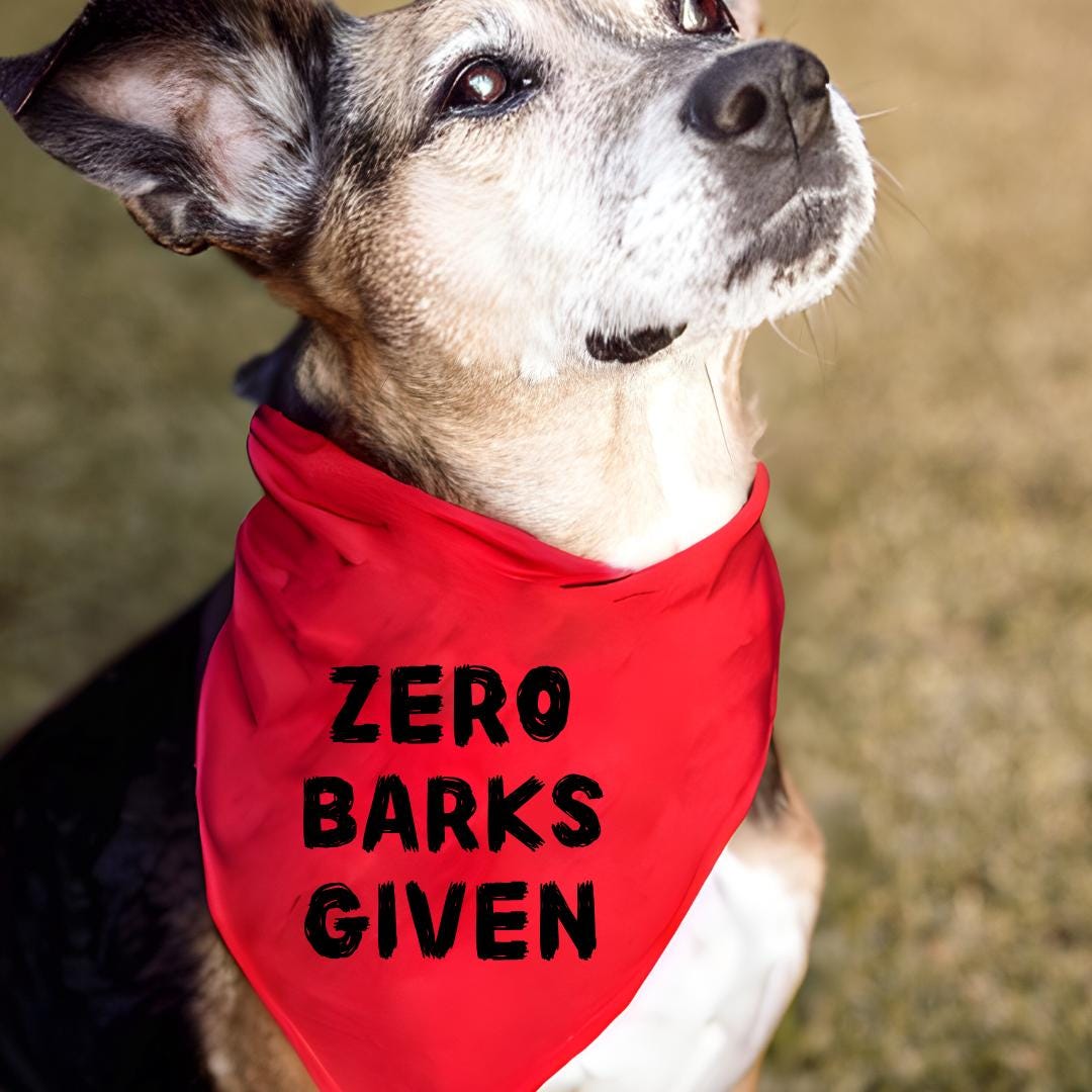 Zero Barks SVG Dog Quotes SVG Bundle - Funny Dog Bandana SVG - Dog Mom ...
