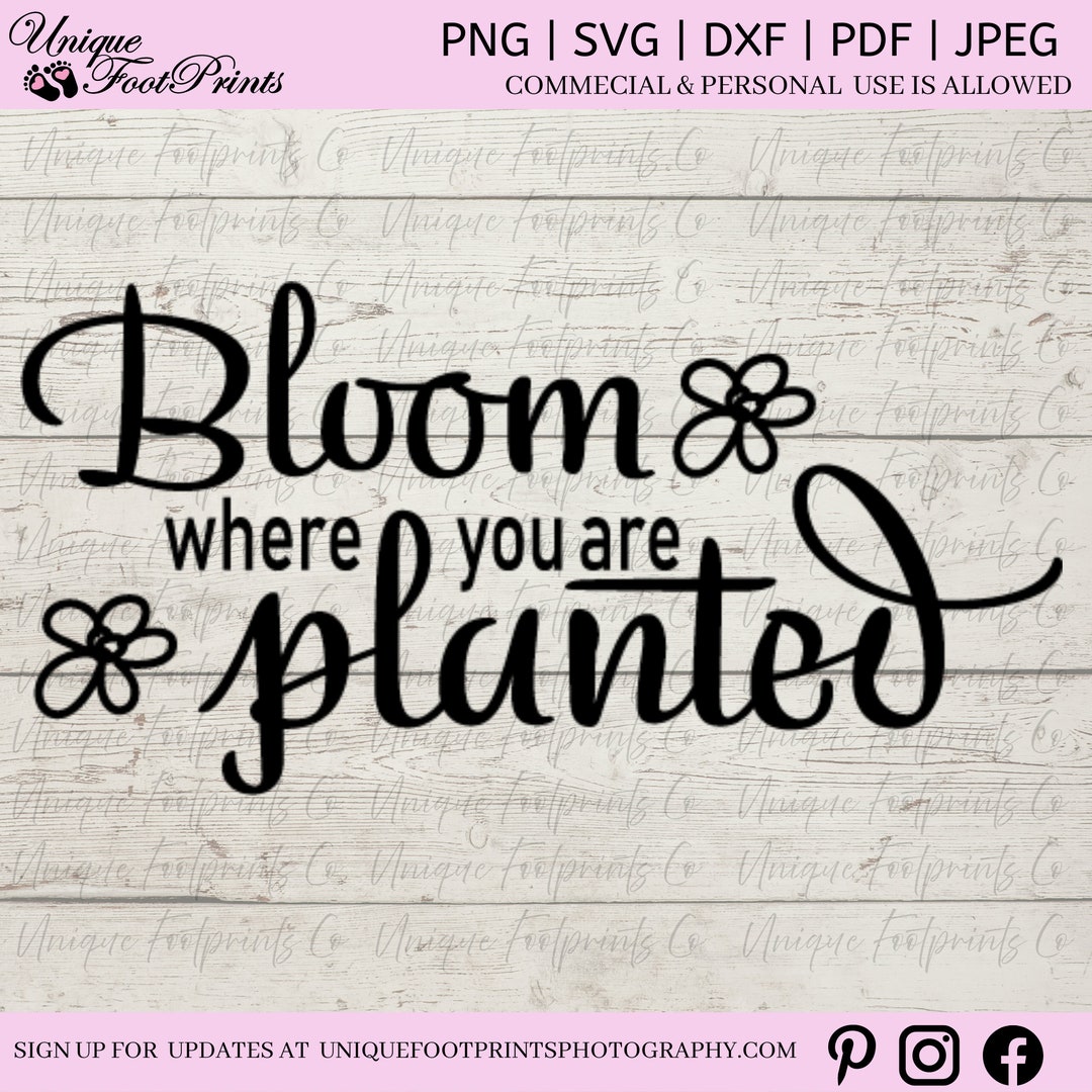 Bloom Where You Are Planted SVG, Wildflower Quote SVG, Flowers Quotes ...