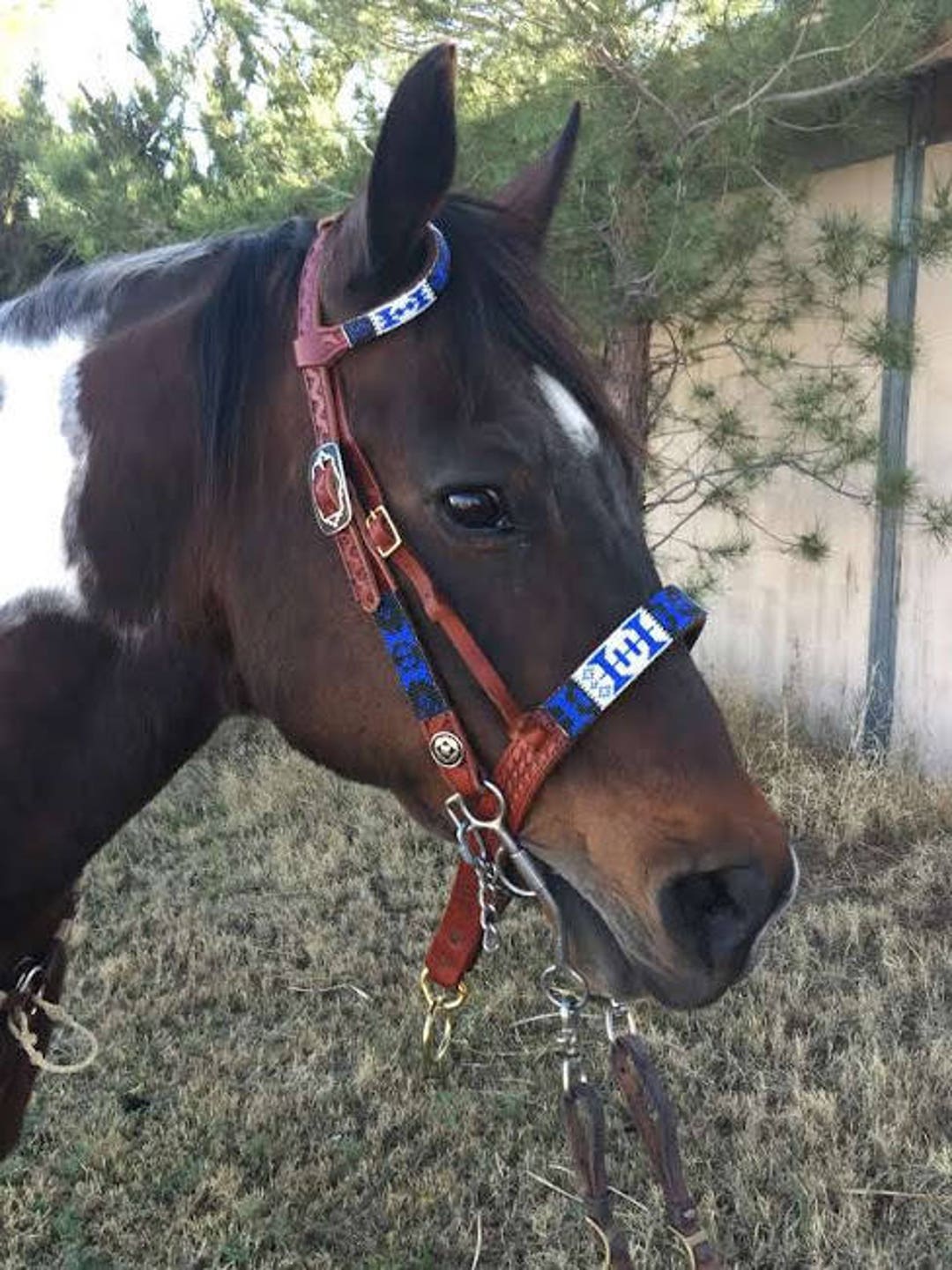 Custom Hand-crafted Beaded Horse Tack - Etsy