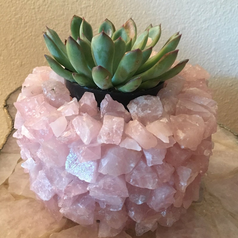 Crystal Planter - Etsy