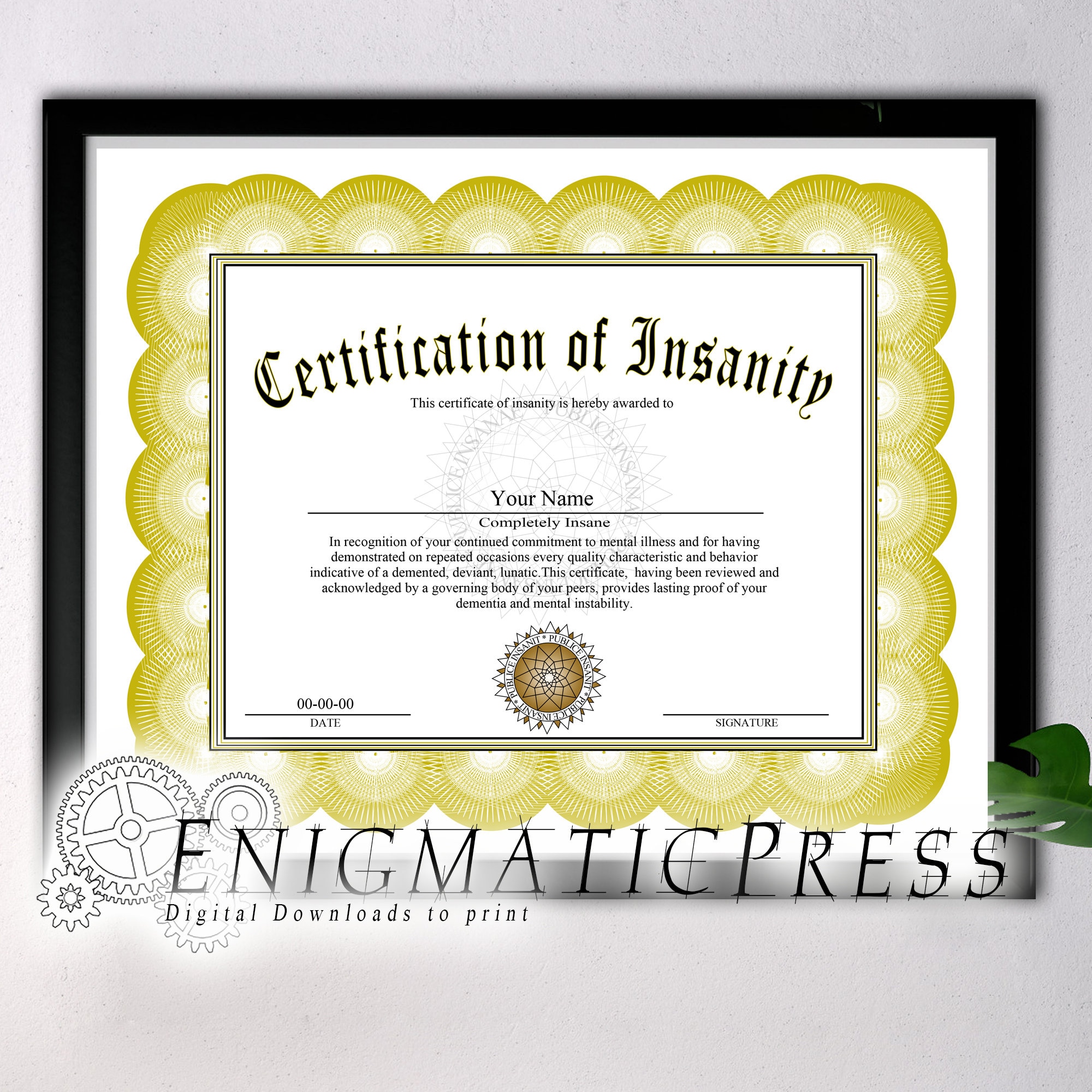 Certificate of Insanity PDF With Editable Text Home - Etsy Australia