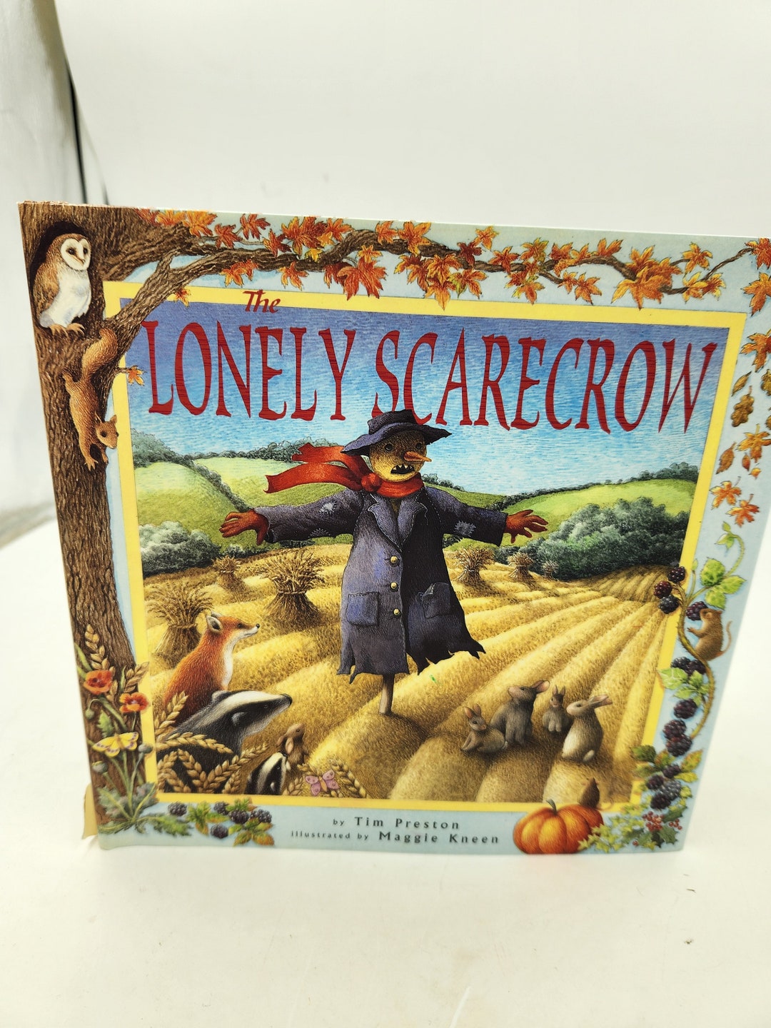 Vintage Book - the Lonely Scarecrow - Beautiful Textured Cover and ...