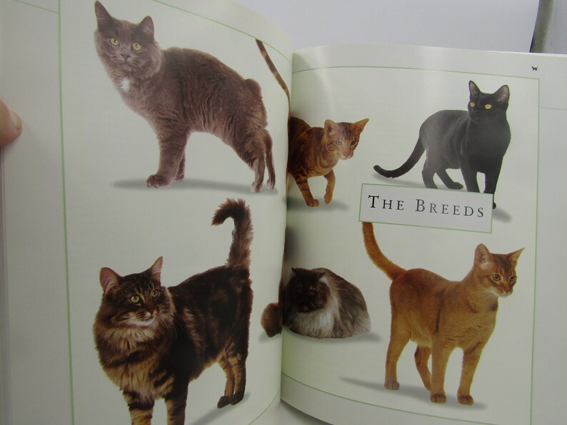 Vintage Book Called the Ultimate Encyclopedia of Cats - Cat Breeds ...