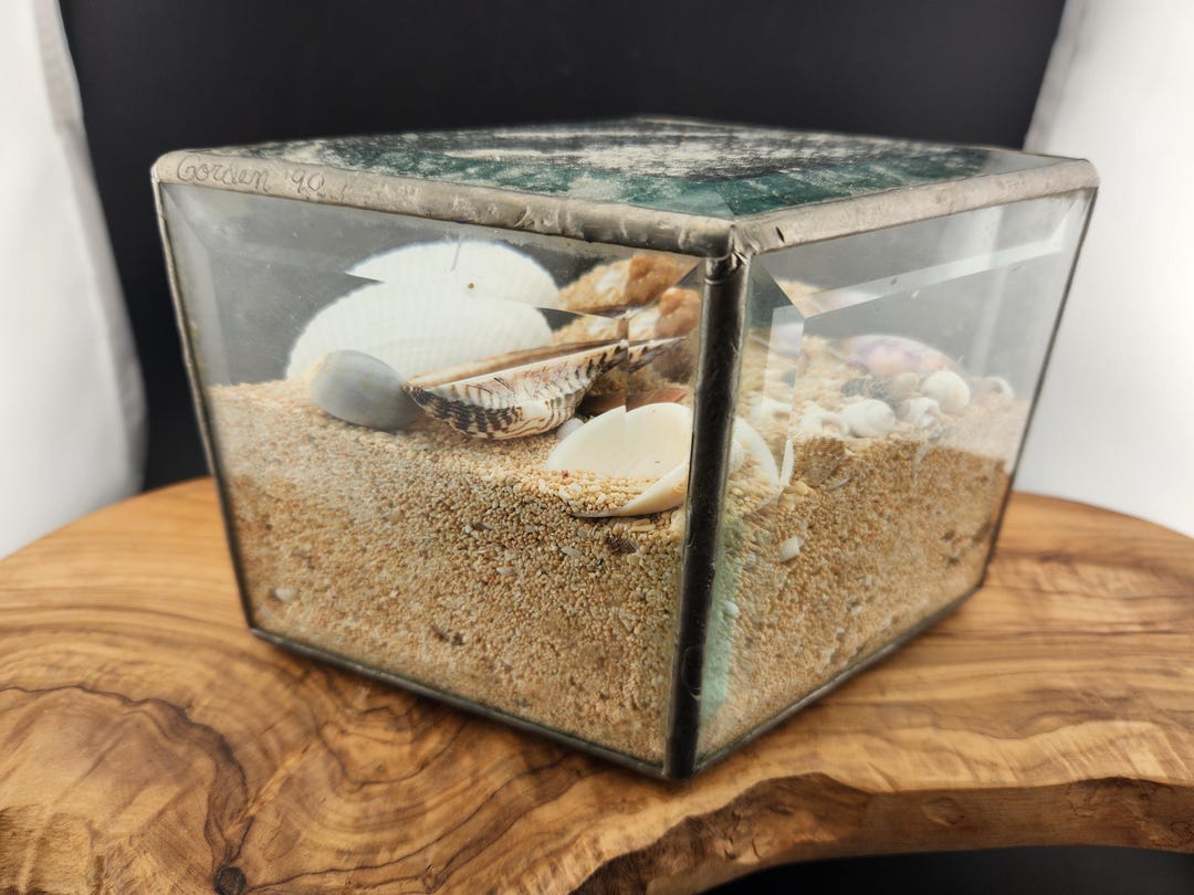 Vintage Sealed Glass Container With Sand and Sea Shells - Very Cute ...