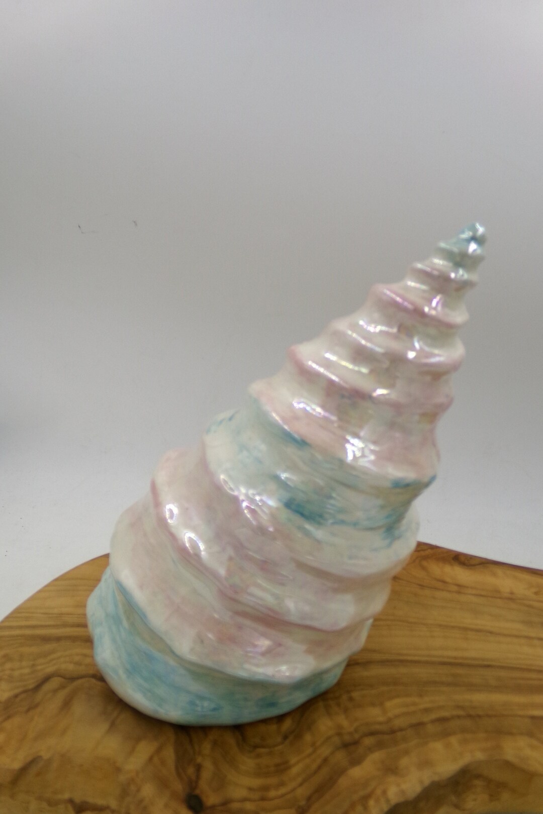 Vintage Large Version of an Auger Seashell 8.5" Long Opening 4.5 ...