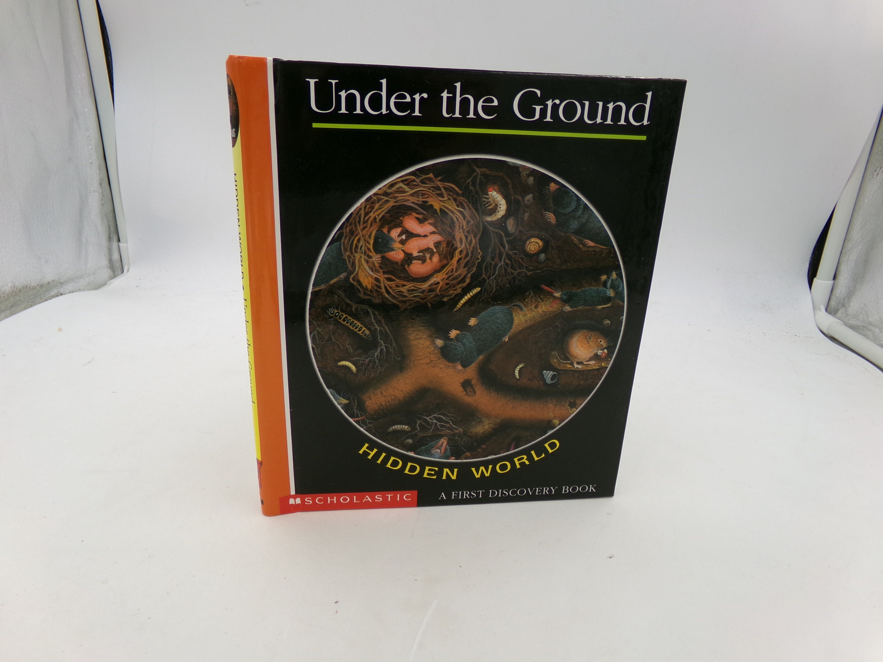 Vintage Children's Book A First Discovery Book From Scholastic About ...