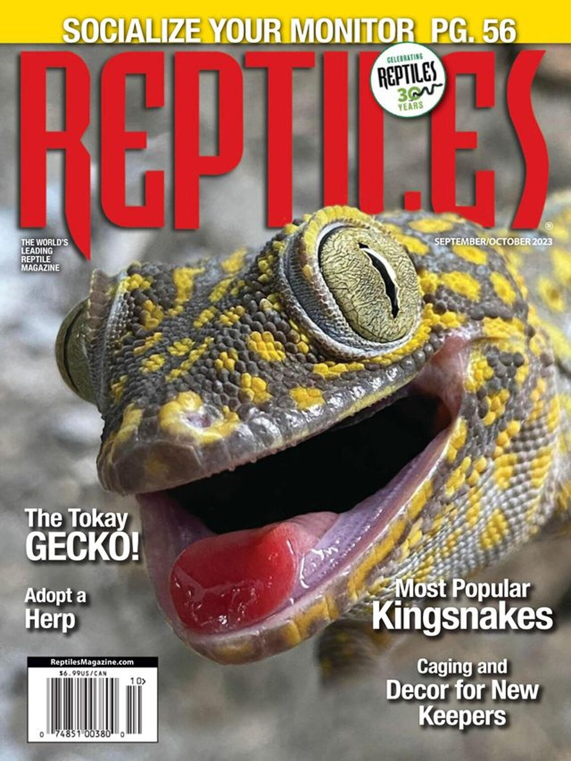 Reptiles Magazine Subscription - Etsy