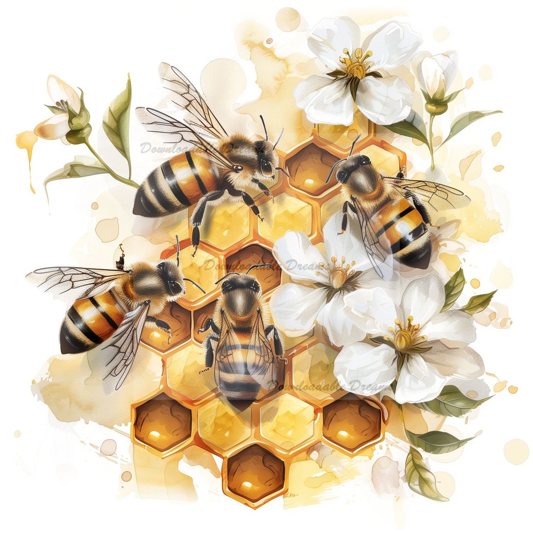 Watercolor Bees on Honeycomb Clipart Bundle: Commercial Use (digital ...
