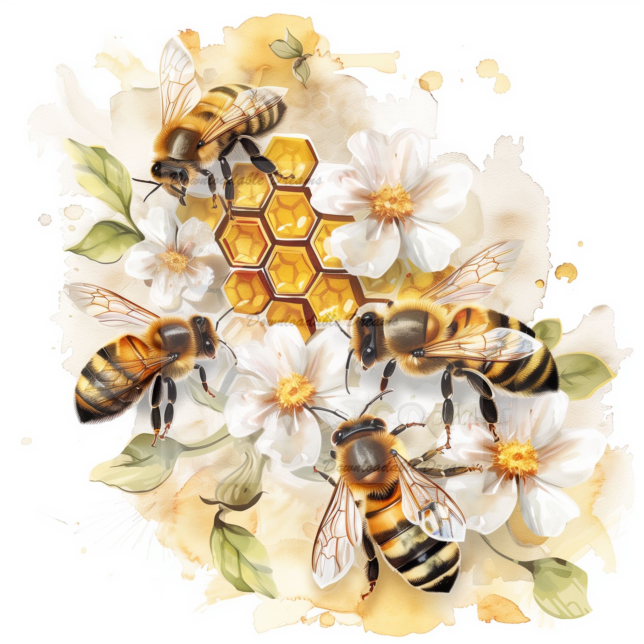 Watercolor Bees on Honeycomb Clipart Bundle: Commercial Use (digital ...