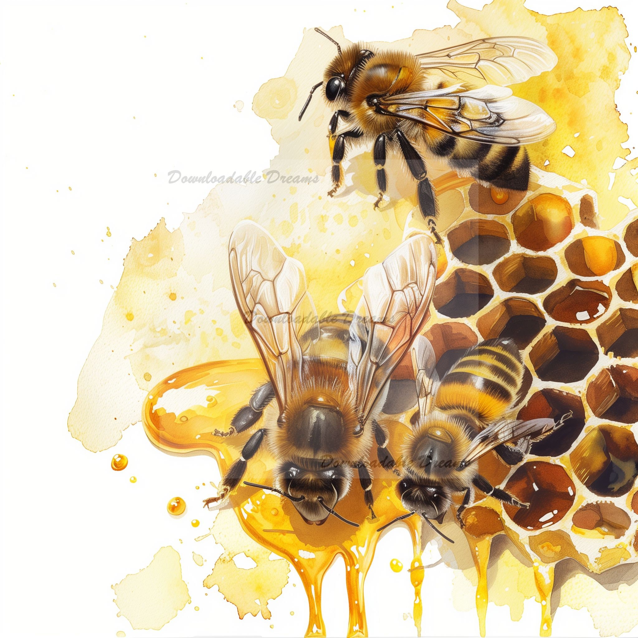 Watercolor Bees on Honeycomb Clipart Bundle: Commercial Use (digital ...