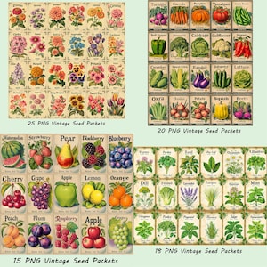 78 Mega Bundle of Vintage Seed Packet PNG Clipart Bundle Scrapbooking ...