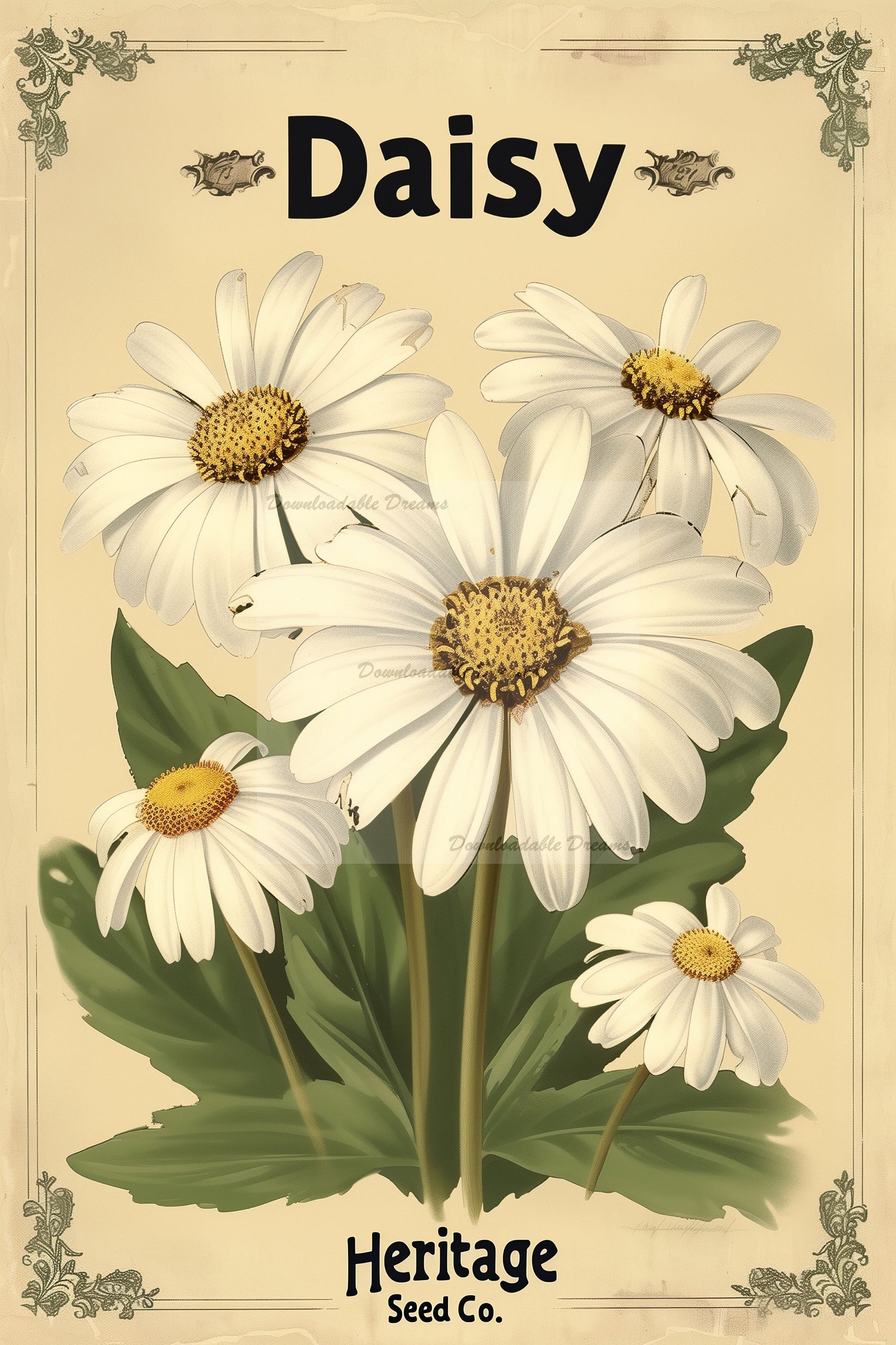 25 Beautiful Vintage Flower Seed Packet PNG Clipart Bundle Scrapbooking ...