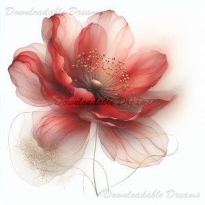 Abstract Red Floral Watercolor Clipart Bundle (digital Download) - Etsy