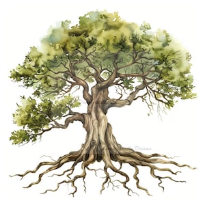 10 Beautiful Trees With Roots Exposed Watercolor Scenes Clipart Bundle ...