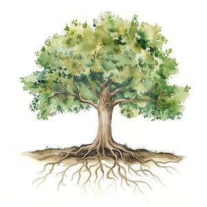 10 Beautiful Trees With Roots Exposed Watercolor Scenes Clipart Bundle ...