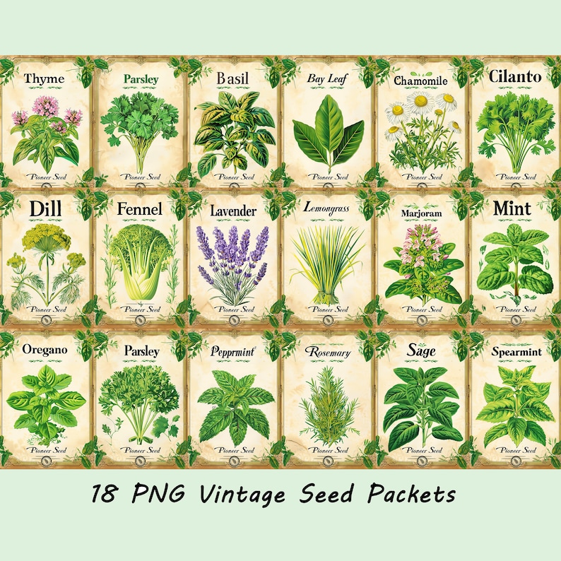 78 Mega Bundle of Vintage Seed Packet PNG Clipart Bundle Scrapbooking ...