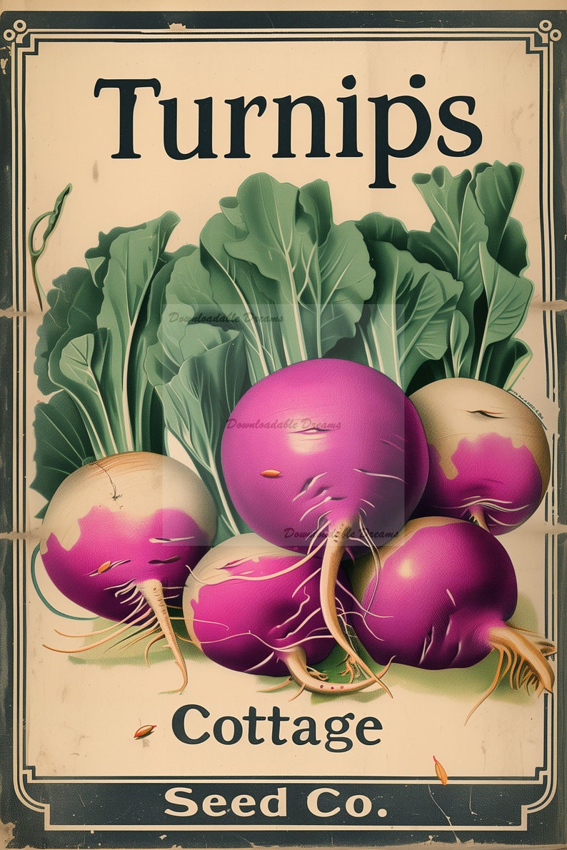 20 Delicious Vintage Vegetable Seed Packet PNG Clipart Bundle ...