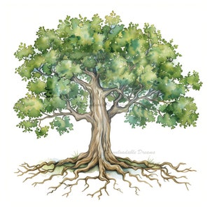 10 Beautiful Trees With Roots Exposed Watercolor Scenes Clipart Bundle ...