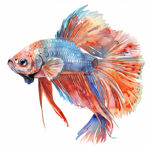 Tropical Fish Watercolor - Etsy