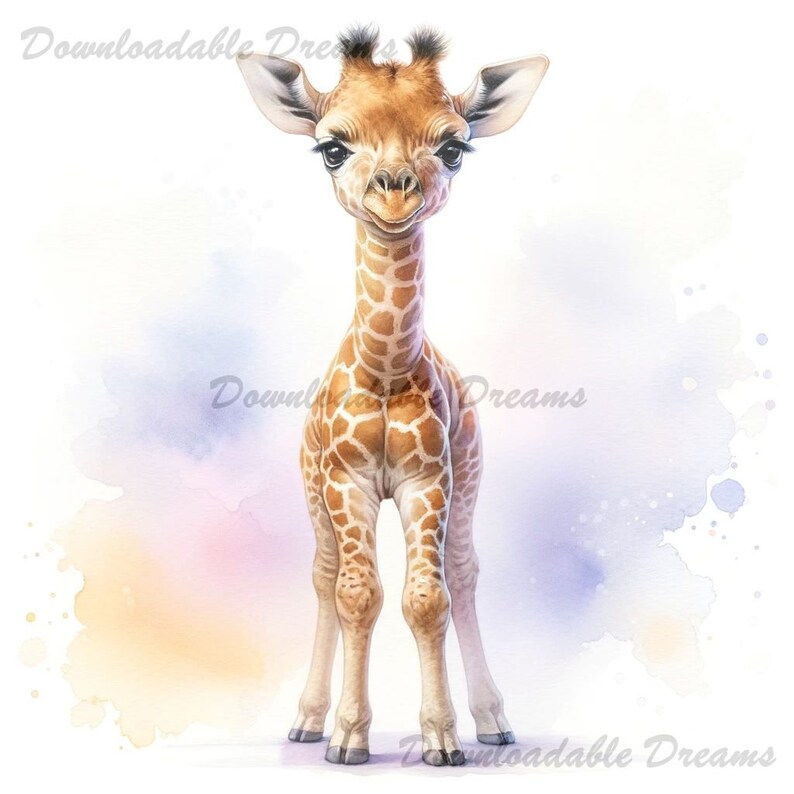 15 Baby Giraffe Watercolor Clipart Bundle High Quality Digital Image ...