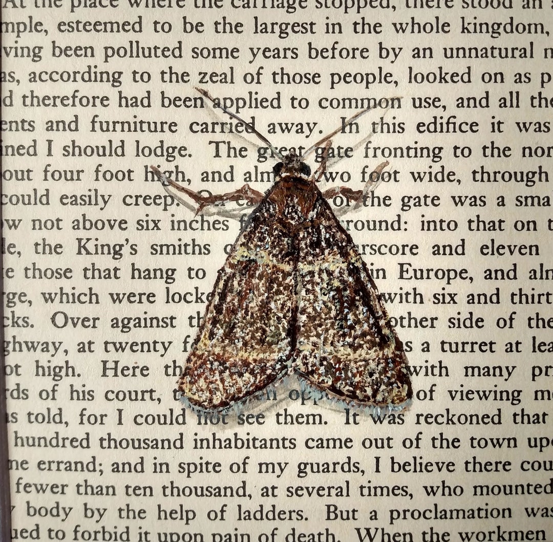 Moth Bookworm Original Acrylic Painting Fun Gift for - Etsy