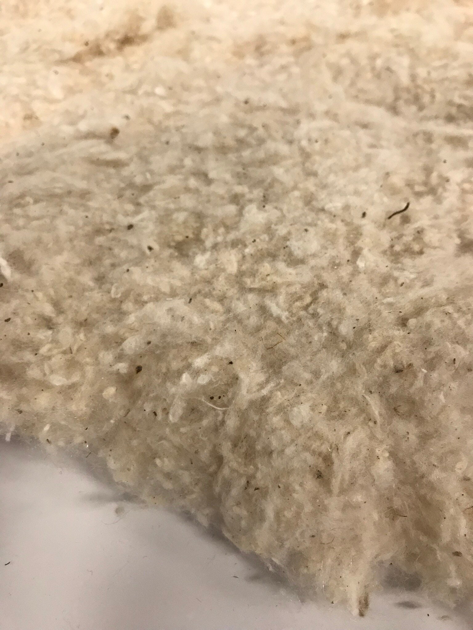 Cotton Upholstery Batting Wadding-professional Grade-raw - Etsy