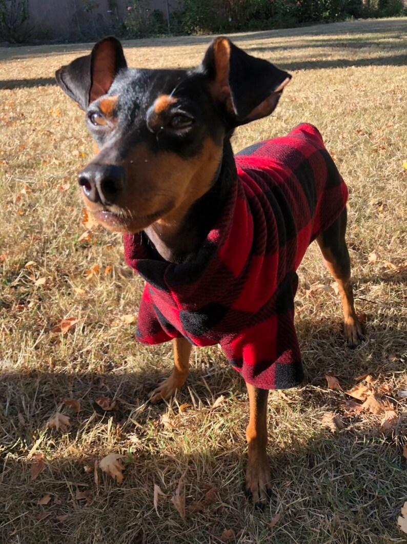 Lumberjack Small Breed Dog Coat Poncho | Etsy