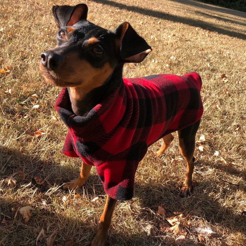 Lumberjack Small Breed Dog Coat Poncho | Etsy