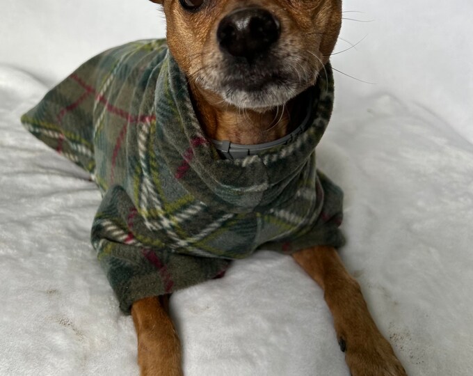 Green Plaid Poncho - Small Breed Dog Coat - Etsy