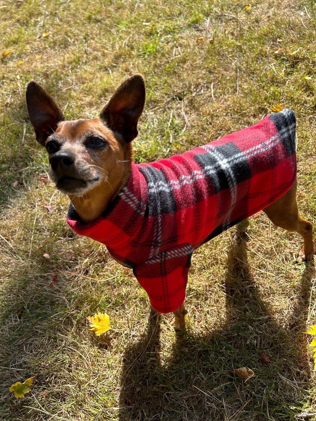 Red Plaid Small Breed Dog Coat Poncho - Etsy