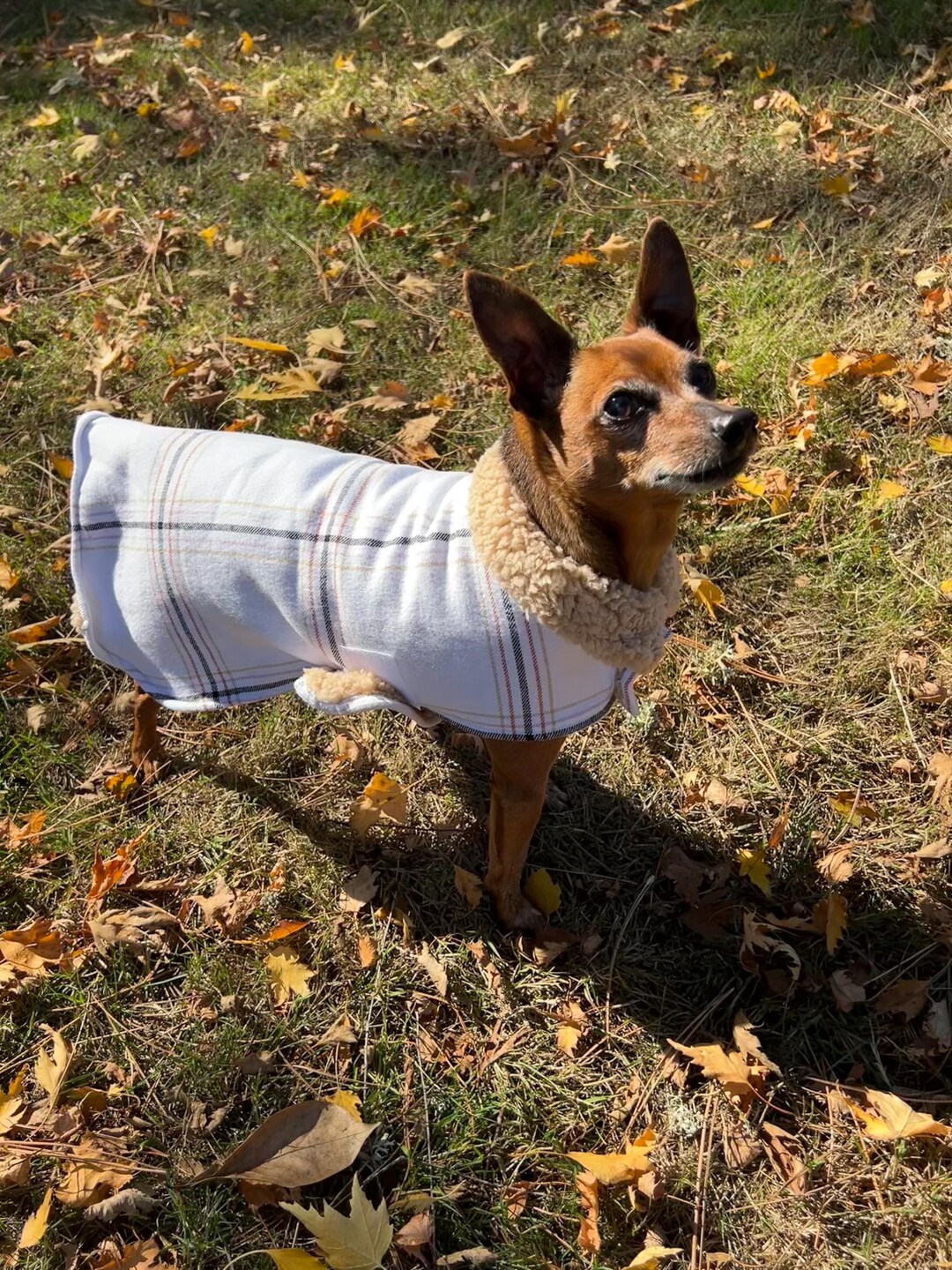 Sherpa Lined Flannel - Adjustable Comfort Wrap Poncho - Dog Coat ...