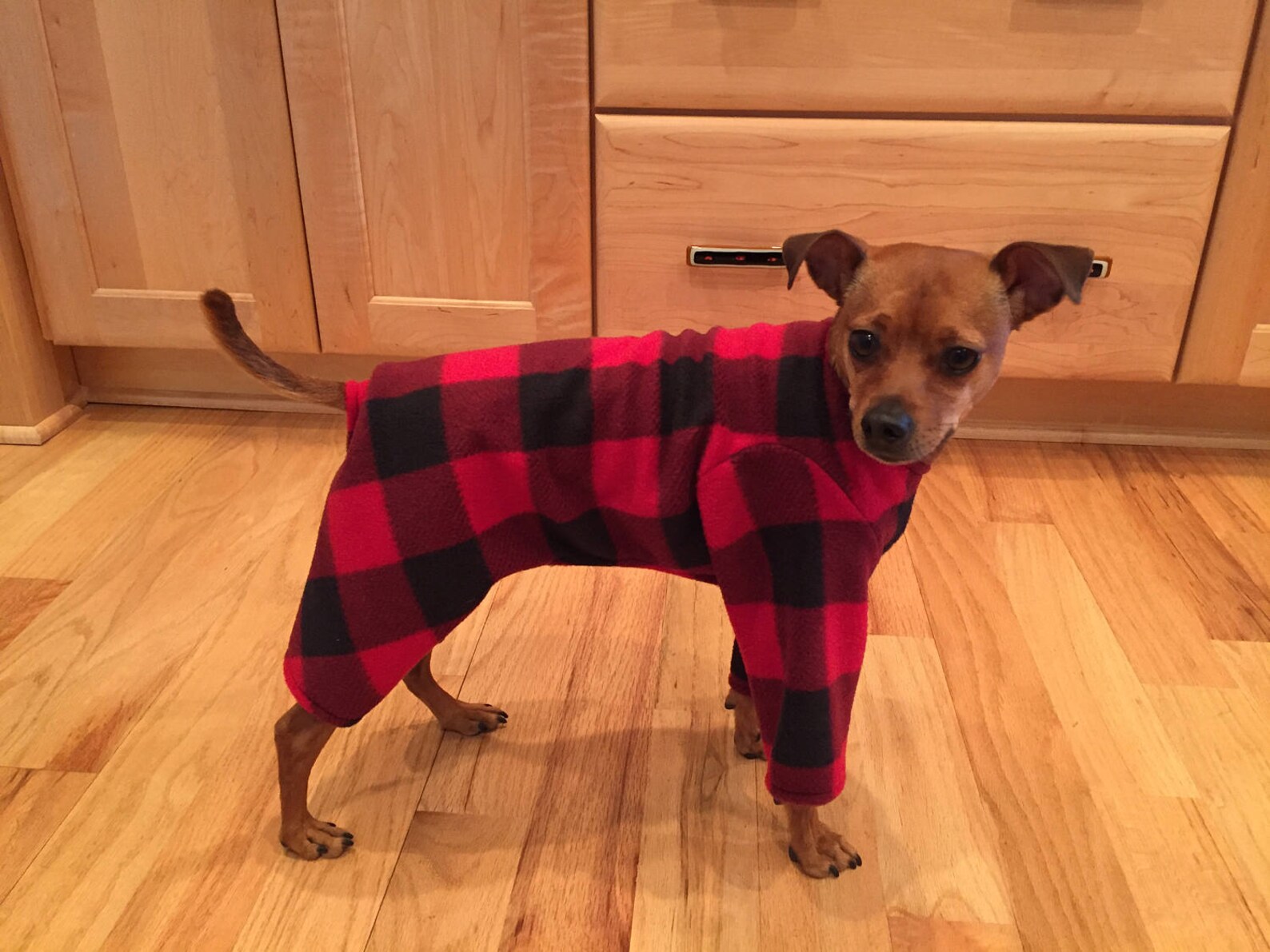 Lumberjack Dog pajamas small breed dog sweater | Etsy