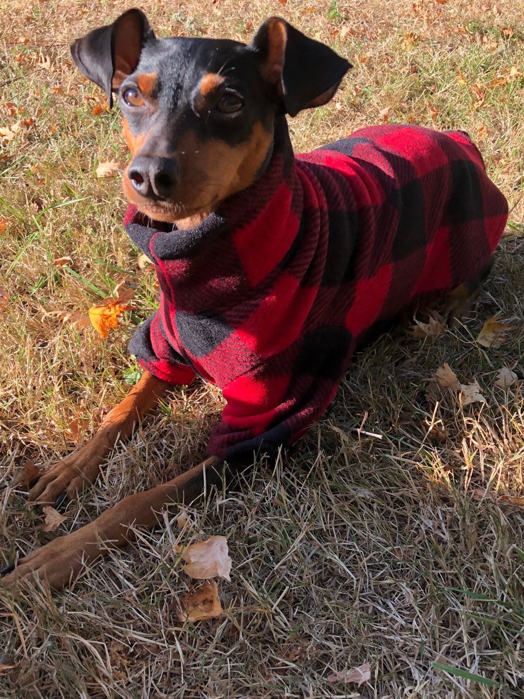 Lumberjack - Small Breed Dog Coat - Poncho - Etsy