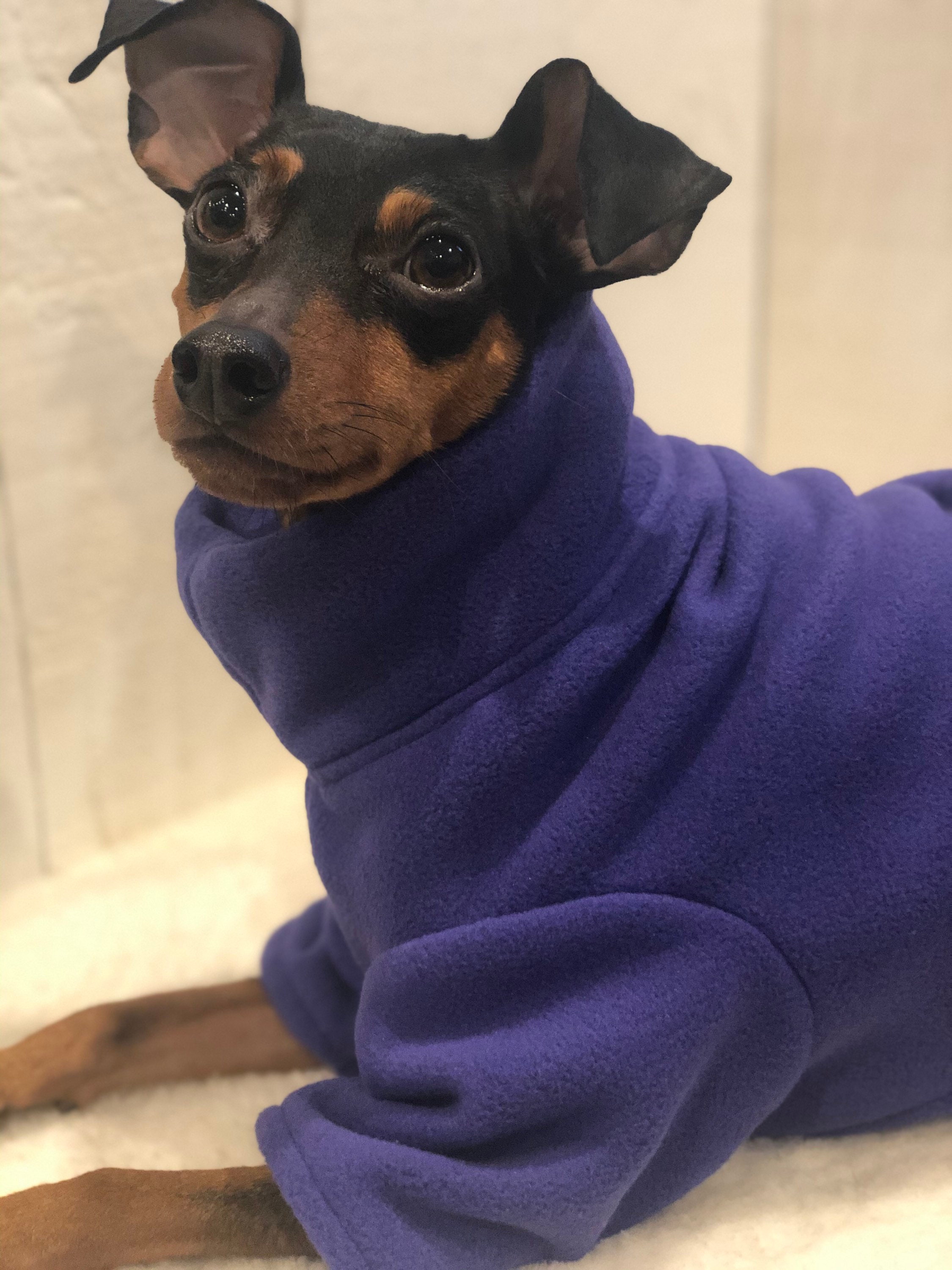 Purple Poncho Small Breed Dog Coat Poncho | Etsy